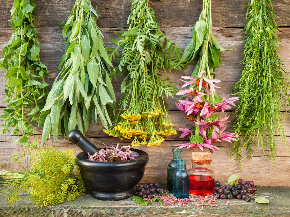 Culinary Herbal Applications